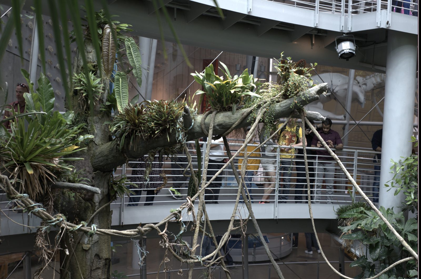 Zoo Fab - Zoological Construction & Fabrication