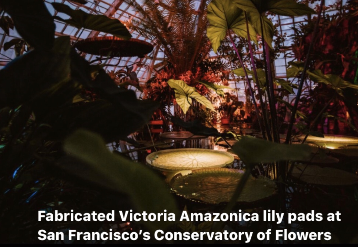 COF-backlit lily pads with captions