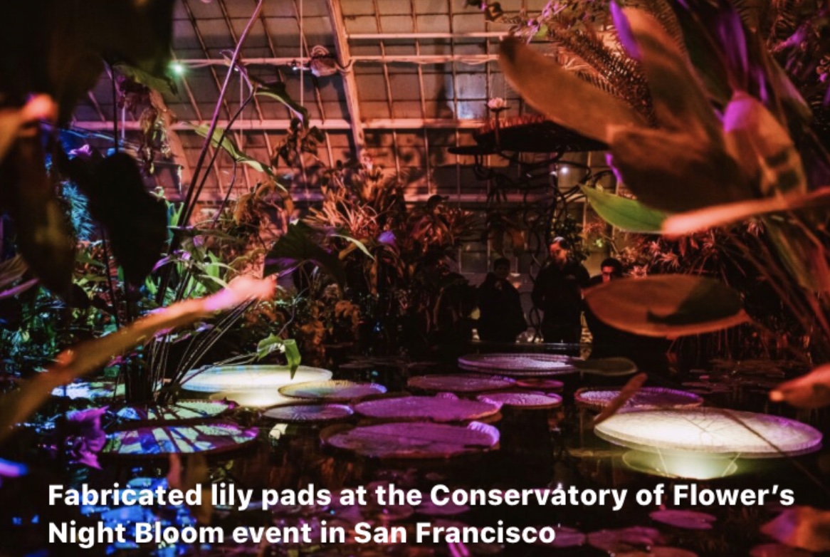 COF- lily pads backlit, captions (5)